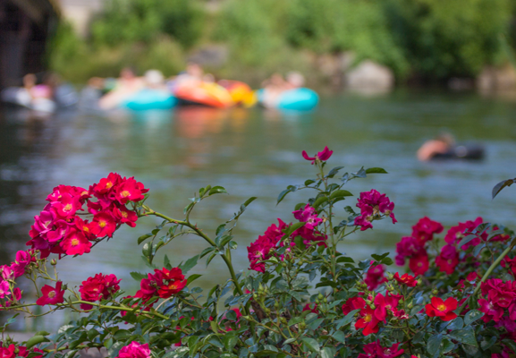 Bend Park & Recreation - Bend Park and Recreation District