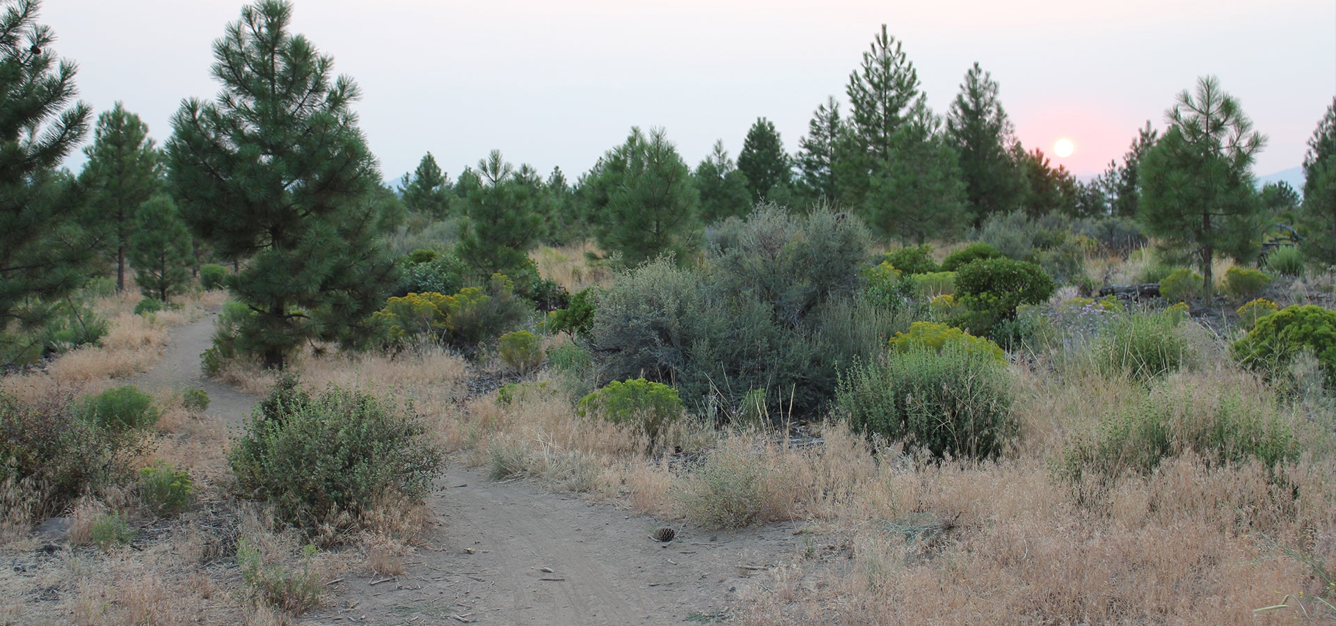 Alpine Trail - Bend Park and Recreation District | Bend Parks