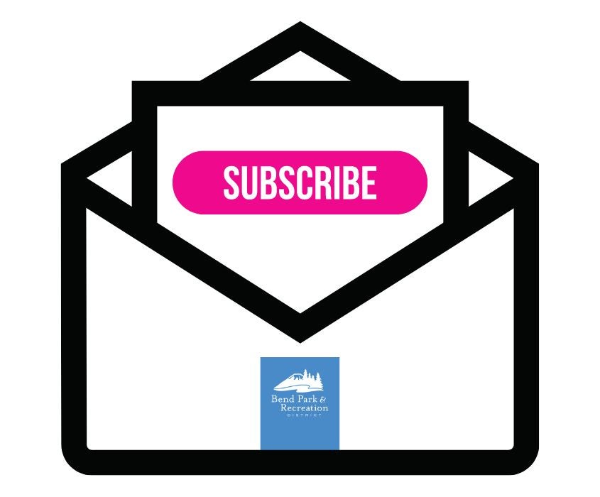 Newsletter Subscribe Icon